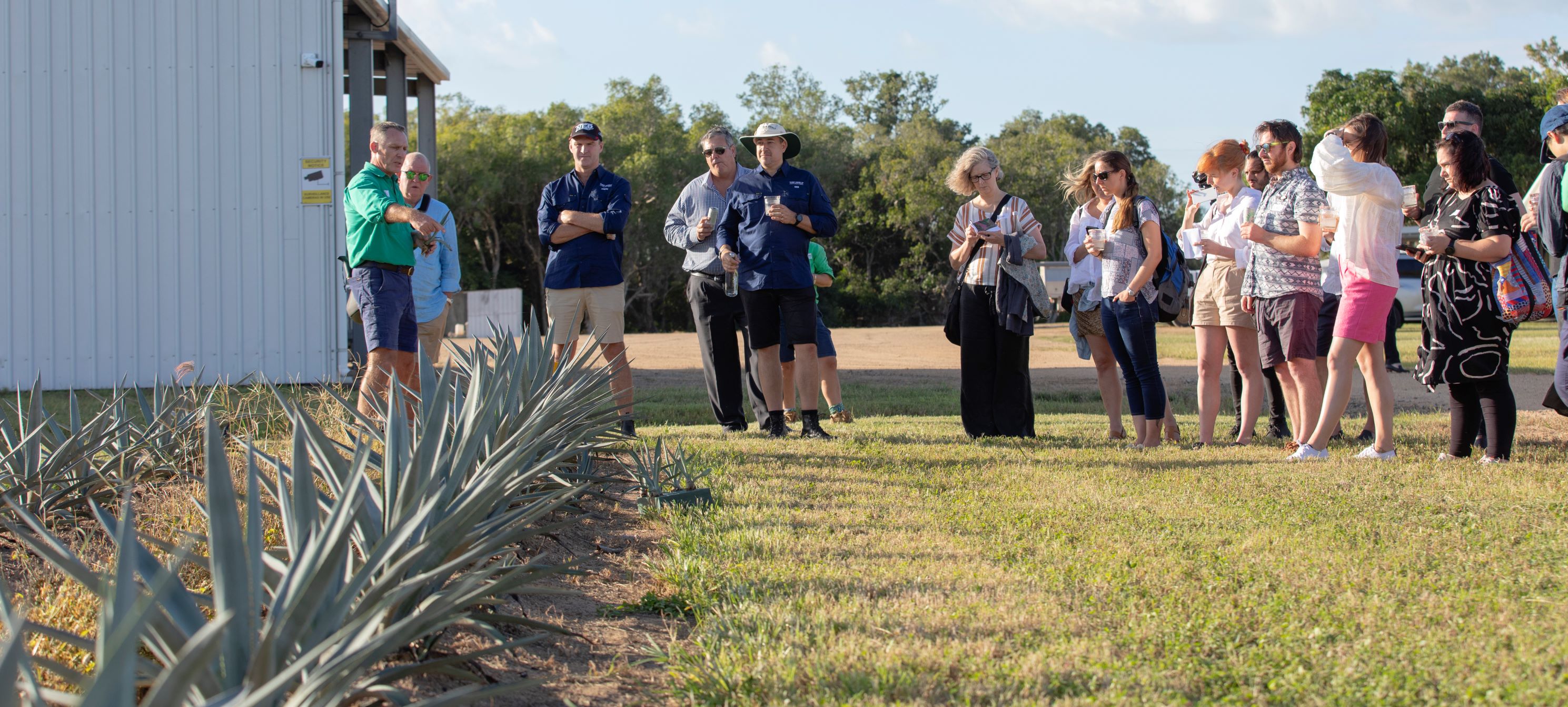 Highlights | Australian Agave Project